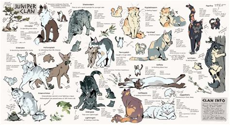 My Drawins Warrior Cats Fan Art Warrior Cats Art Warrior Cat Drawings