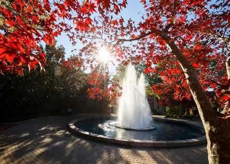 When You Know Its Fall In Athens Uga Alumni