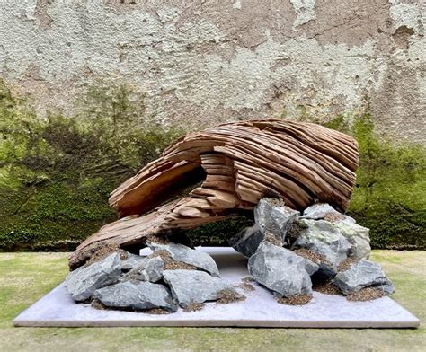 Layout Mini Trang Trí Bể Thuỷ Sinh