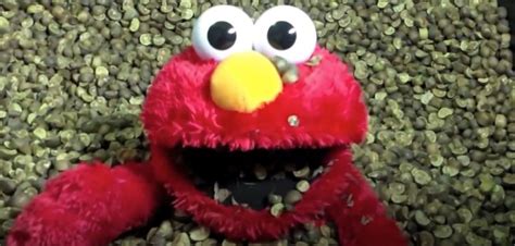 Elmo Being Tickled By 100000 Mexican Jumping Beans Elmo Jumping