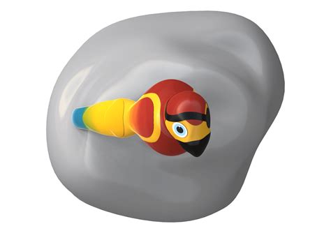 Parrot With Eye Patch Aqua Drolics