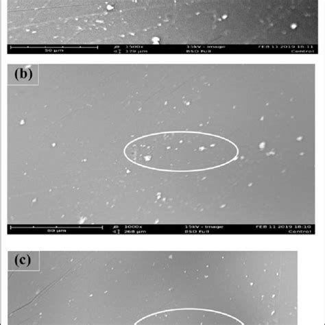 Functional Groups Present In The Polystyrene Resin Download Scientific Diagram