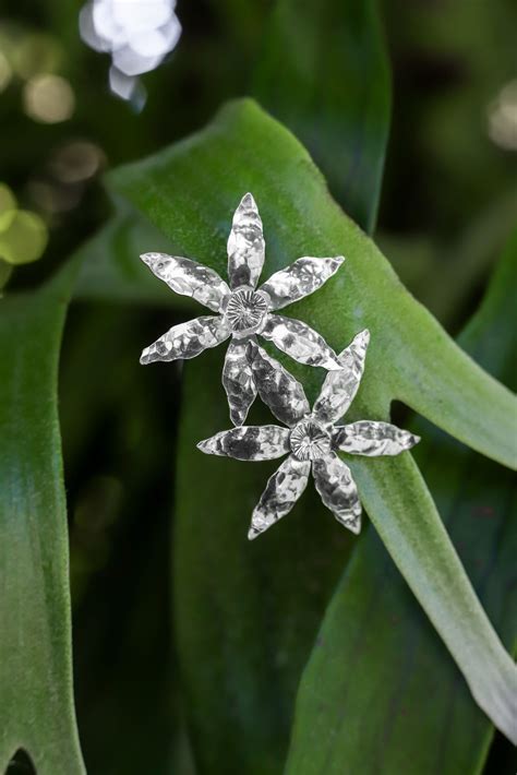 Louise Penberthy Kotahitanga Gallery