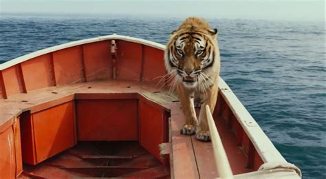 The Life Of Pi Life Of Pi Zebra Life Of Pi Aesthetic Life Of Pi