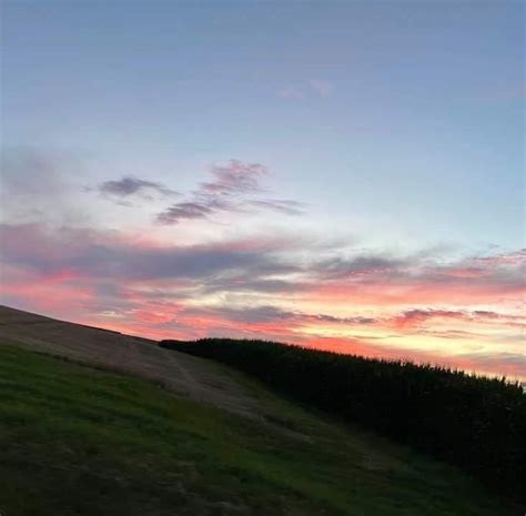 صور اموات اهالي الدغارة