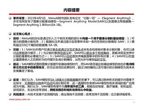 AI专题论文解读解锁数字大脑视觉区 Meta AI图像分割基础模型SAM 先导研报