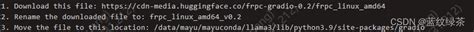 在linux服务器上部署llm，使用gradio遇到could Not Create Share Link Missing File