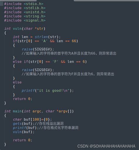 fuzz入门1 csdn博客
