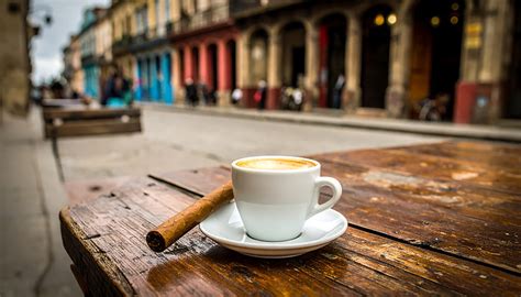 Cuban Coffee Production Revival And Sustainability