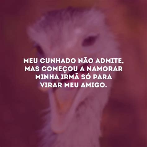 50 Frases De Cunhado Engraçadas Que Mostram Como Vocês Se Dão Bem
