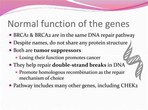Ppt Breast And Ovarian Cancer Brca1 And Brca2 Powerpoint Presentation Id 2198677