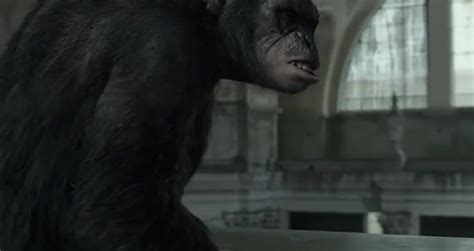 Yarn Caesar Gone Dawn Of The Planet Of The Apes 2014 Video