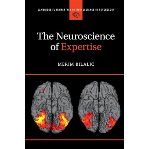 Introduction To Human Neuroimaging Pdf