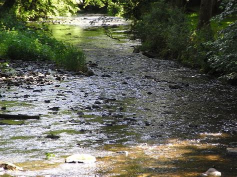 River Sid Alchetron The Free Social Encyclopedia