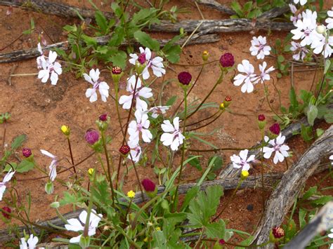 Joanne Joanne Van Os Page 2