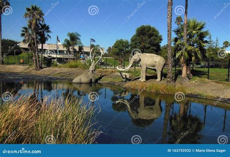 La Brea Tar Pits Los Angeles California Editorial Photography Image