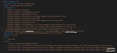 Is There Any Relationship Between An Orderer And Network Organizations