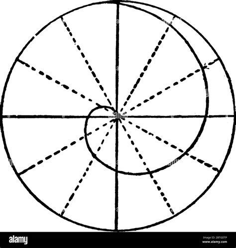 Archimedean Spiral Construction
