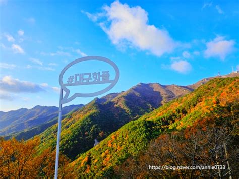 11월 대구 당일치기 여행 가족 모임 나들이 코스 팔공산 케이블카 단풍 구경 후 즐거운 집들이 네이버 블로그