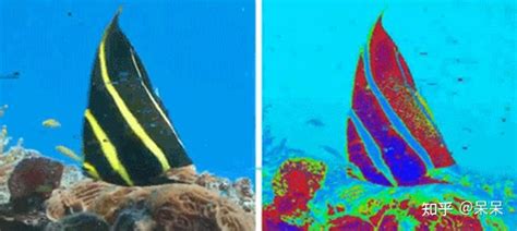 一文读懂吸收光谱技术 知乎