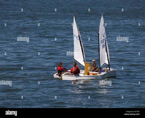 Three Optimist Class Sailing Dinghies In San Francisco Bay Off