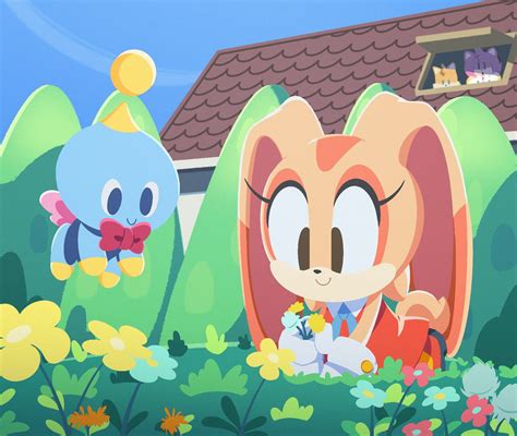 Pin By Paula On Amygirls Cream Sonic Sonic Fan Art Sonic Art