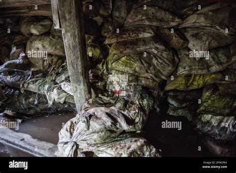 Illegal Gold Extraction In Java Indonesia Asia Stock Photo Alamy