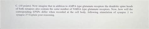 Solved Question 2 30 Points This Neuron Has Three Synaptic