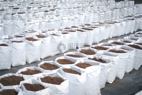 种植栽种罐中的土壤和肥料高清图片下载 正版图片503890086 摄图网