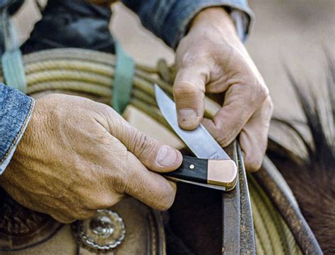 Ammoland Two Courts Disagree On Knives Under The Second Amendment