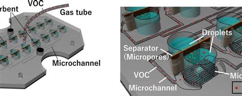 Researchers Create A Highly Sensitive Biohybrid Olfactory Sensor