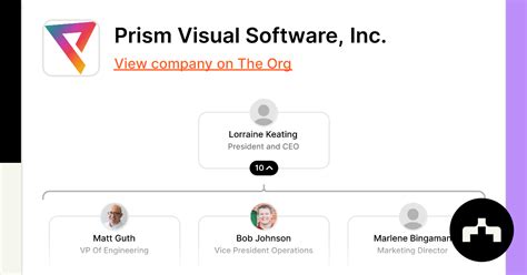Prism Visual Software Inc The Org