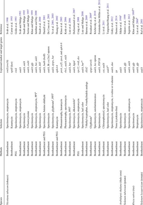 Important Milestones In The Development Of Chloroplast Transformation