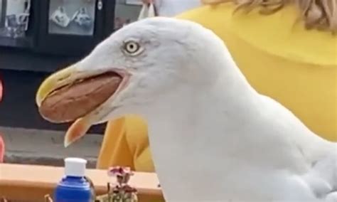 Bizarre Sex 2 Is A Cunt