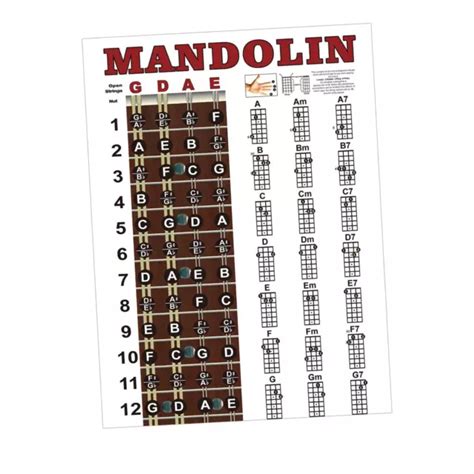 Mandolin Chords Chart 2205x1575 Wall Chart Fingering Diagram