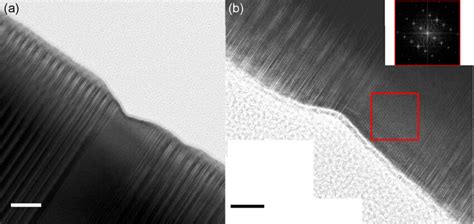 Tem Micrographs Of Inas Nws With Growth Interruptions The Growth
