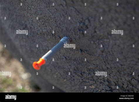 Tranquilizer Dart Hi Res Stock Photography And Images Alamy