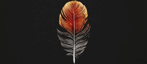 Robin Feather Collection