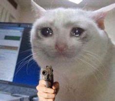 Crying Cat