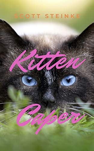 Kitten Scott Telegraph