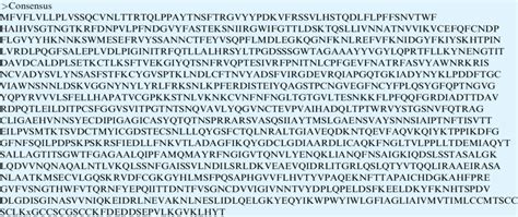 Indonesia Sars Cov 2 Spike Protein Consensus Sequence Download