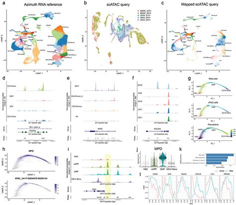 Dictionary learning for integrative, multimodal, and massively scalable single-cell analysis - PMC