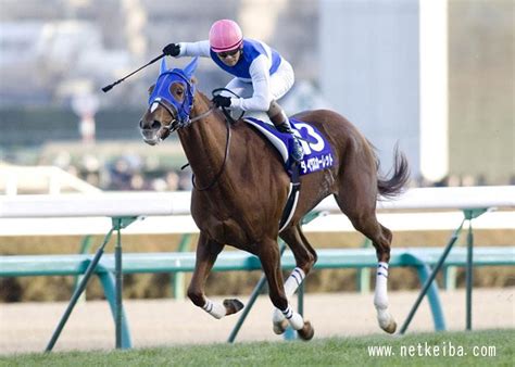 ダイワスカーレット Daiwa Scarletの血統表 競走馬データ Netkeiba