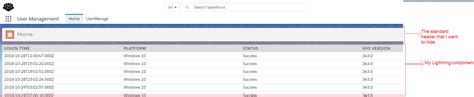 Concealing The Standard Lightning Page Header On A Custom App Page