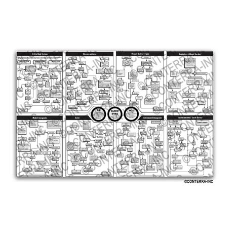 First Aid At A Glance Flowchart Savelives