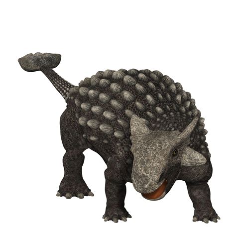 Dinosaurus Koning Ankylosaurus