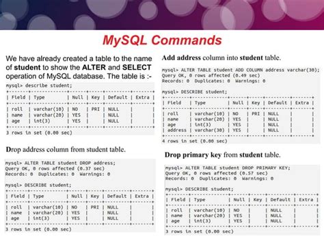 E R Diagram And Sql Pptx Databases Computer Software And Applications