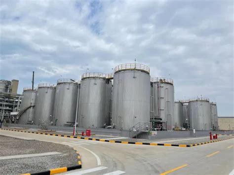 Wholesale Phenalkamine Modified Epoxy Resin Curing Agent Hw 558 With