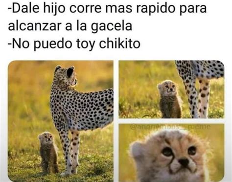 Ta Chikito Meme Subido Por Unai20071 Memedroid