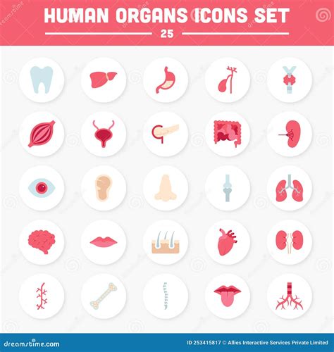 Flat Style Human Organs Circular Icons Stock Illustration